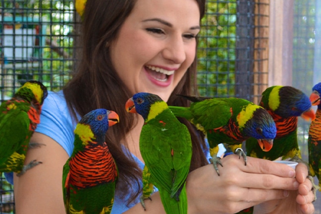 Bird Kingdom Niagara Falls - Niagara Falls Attractions